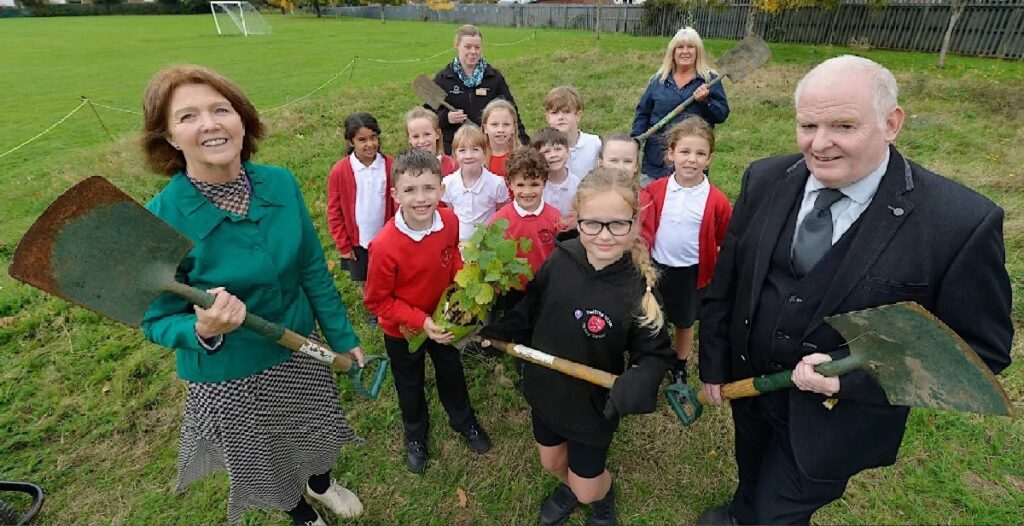 Free tree scheme launches for 2025 - HRBS - Public